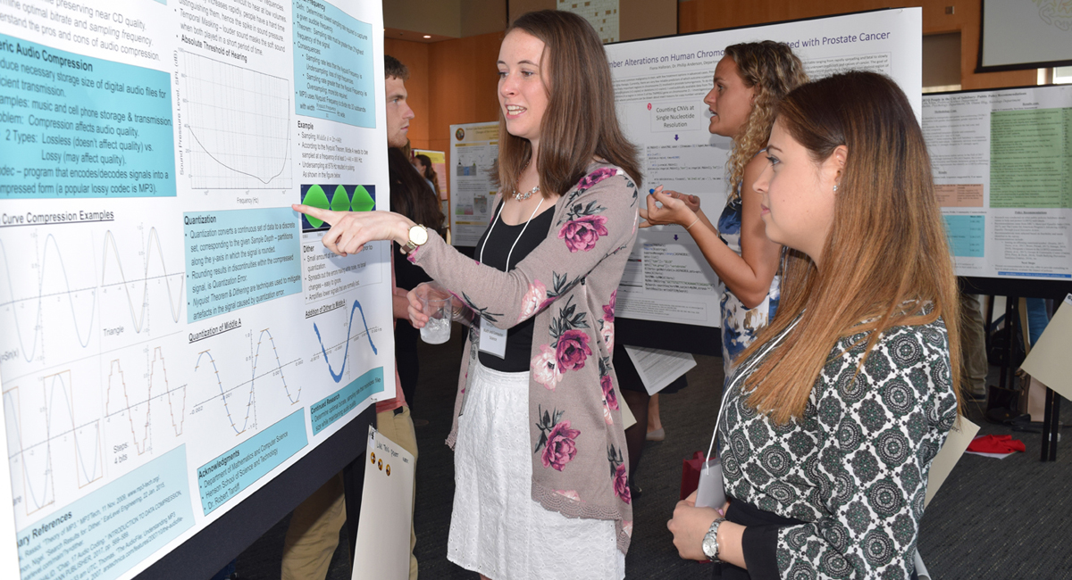 Mathematics Minor | Salisbury University